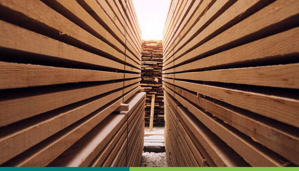 Wood Types: Your Complete Construction Guide